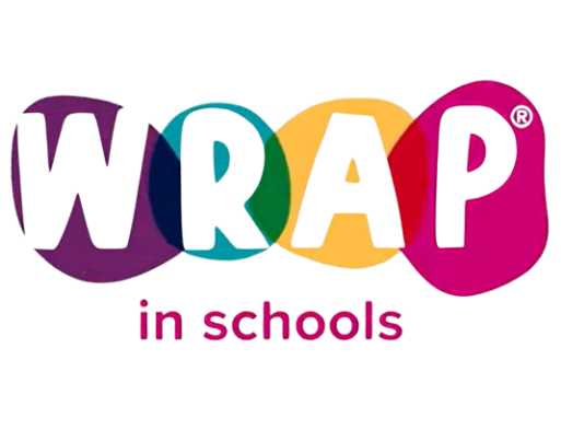 Social Skills Training - WRAP Programme | Education Partnership